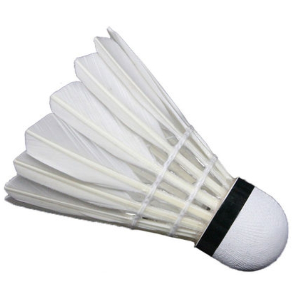 Shuttle Cock | Nairobi Sports House